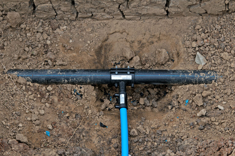 Water Line Repair: What Can Damage Your Water Line in Temple Terrace, FL